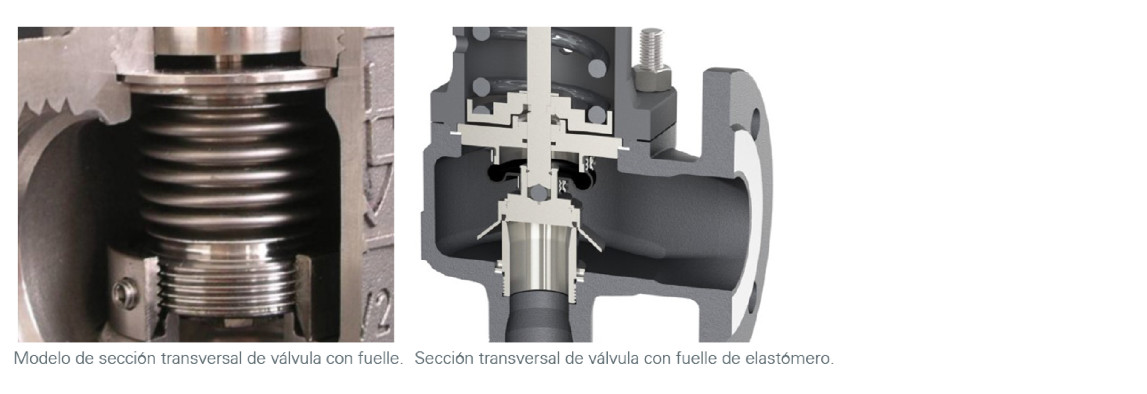 FAQ - Válvulas y accesorios de seguridad - FAQ